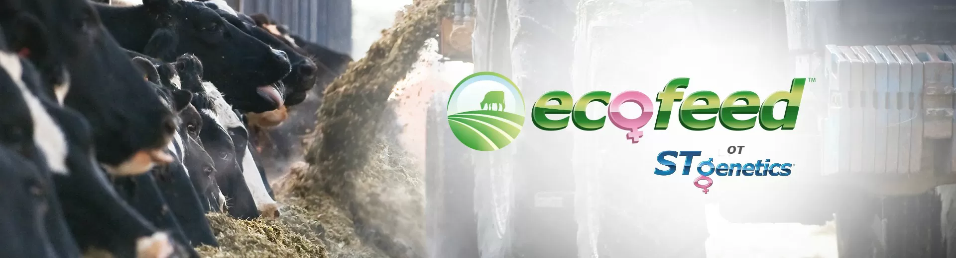 EcoFeed - стабильная прибыль!