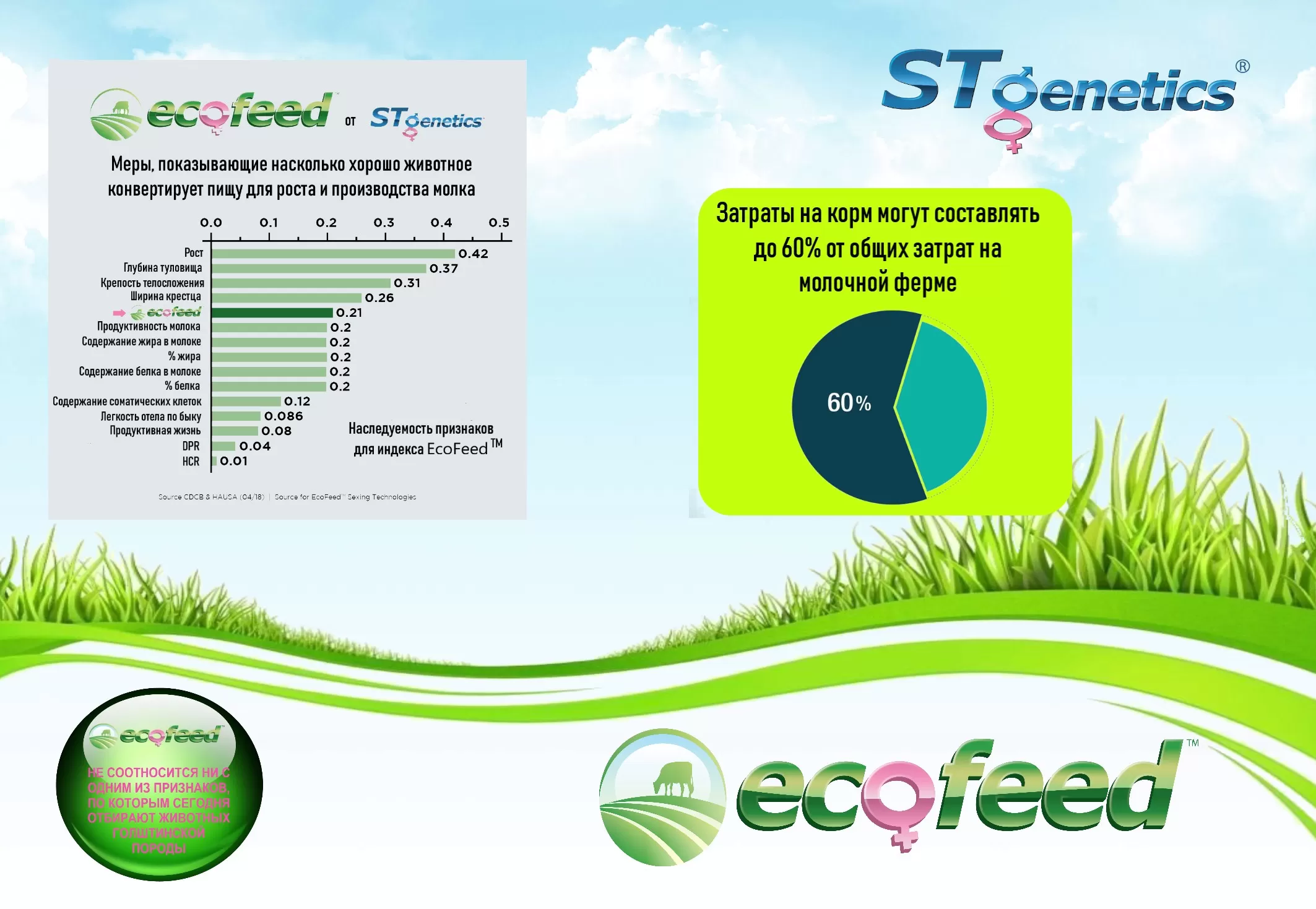 EcoFeed - стабильная прибыль!